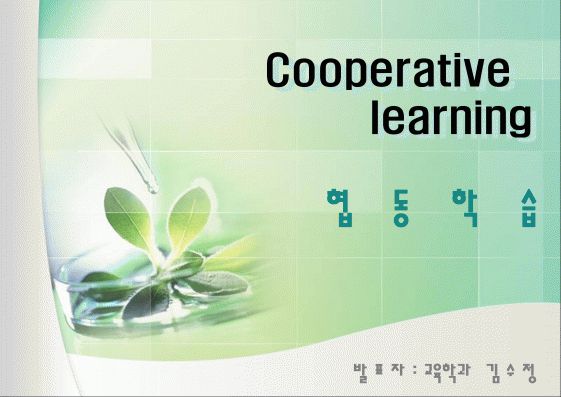 교육공학 협동학습 파워포인트 자료