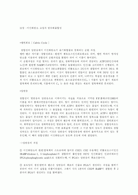 식물생리학 레포트 자료