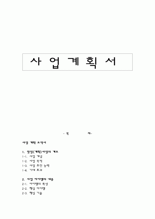 스팀 세차 사업계획서