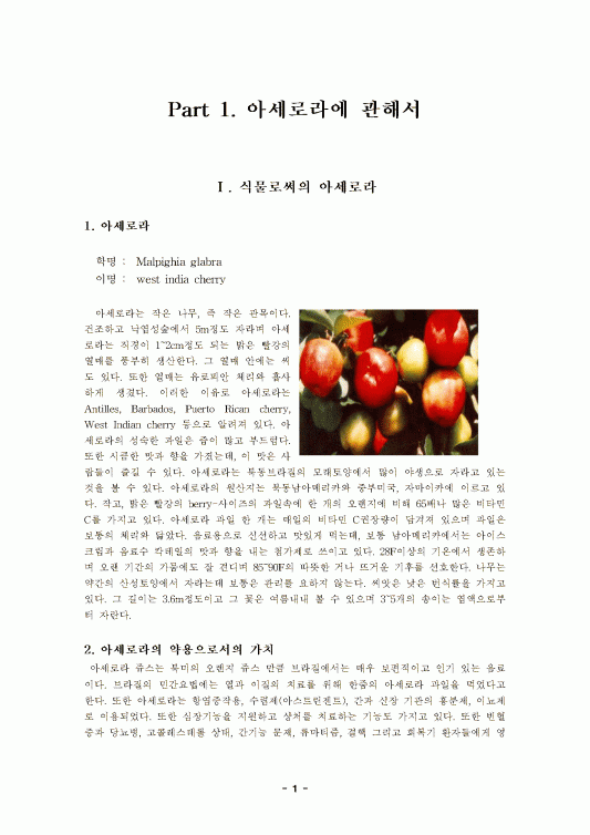 아세로라를 이용한 기능성식품개발