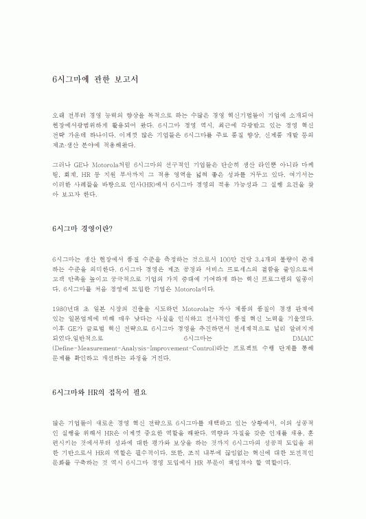 6시그마 관련 보고서