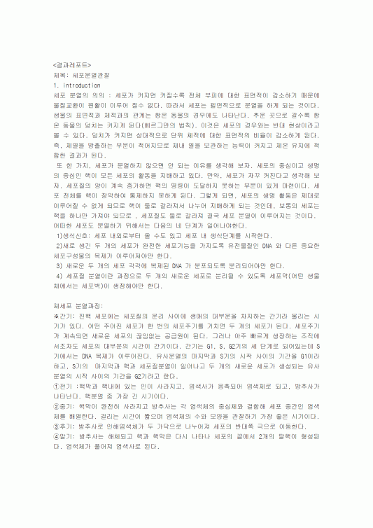 세포분열 관찰