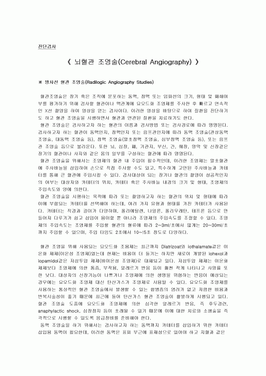 뇌혈관조영술