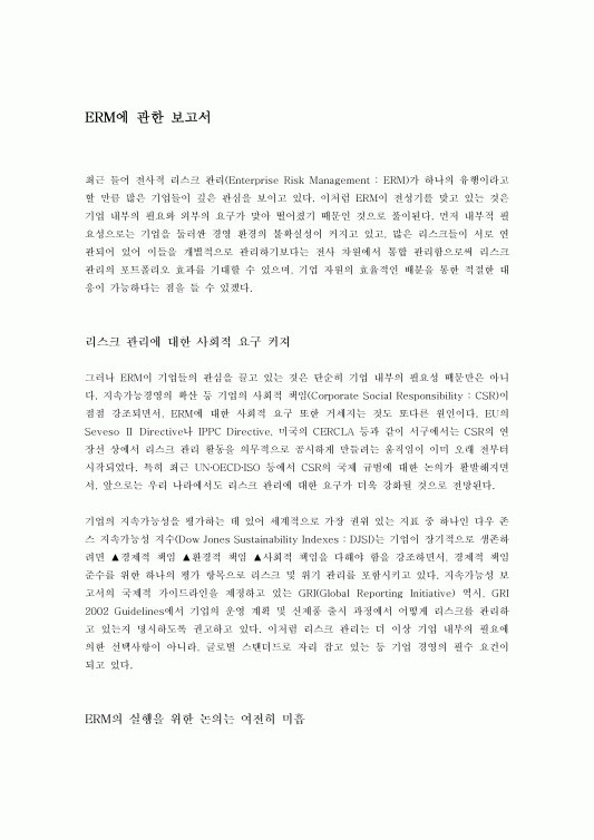 ERM에 관한 보고서