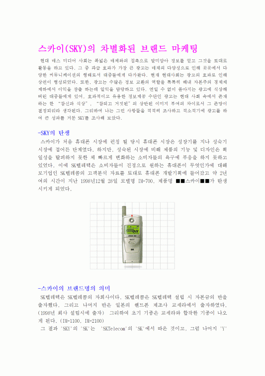 스카이(SKY)의 차별화된 브랜드 마케팅