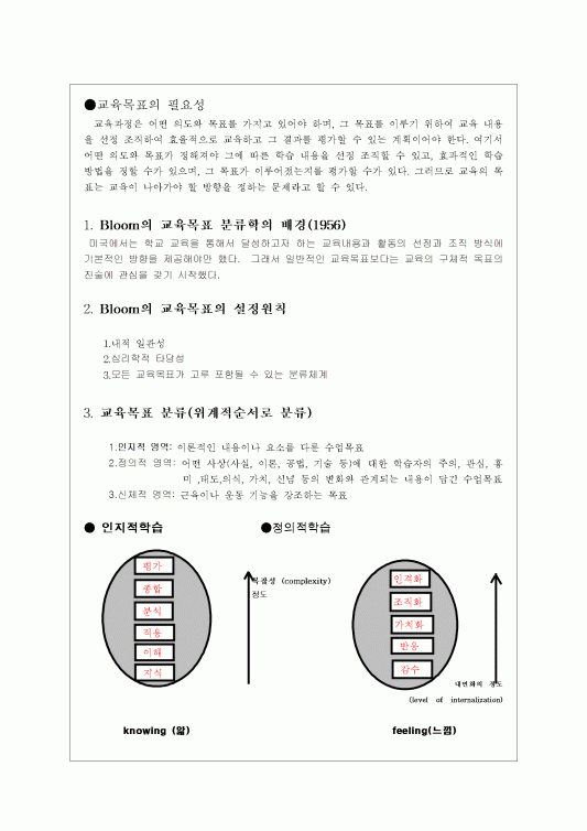 인지적 영역 레포트 자료