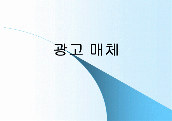 광고매체에 대한 조사