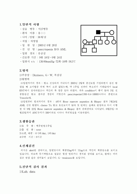 백혈병 케이스(간호과정)