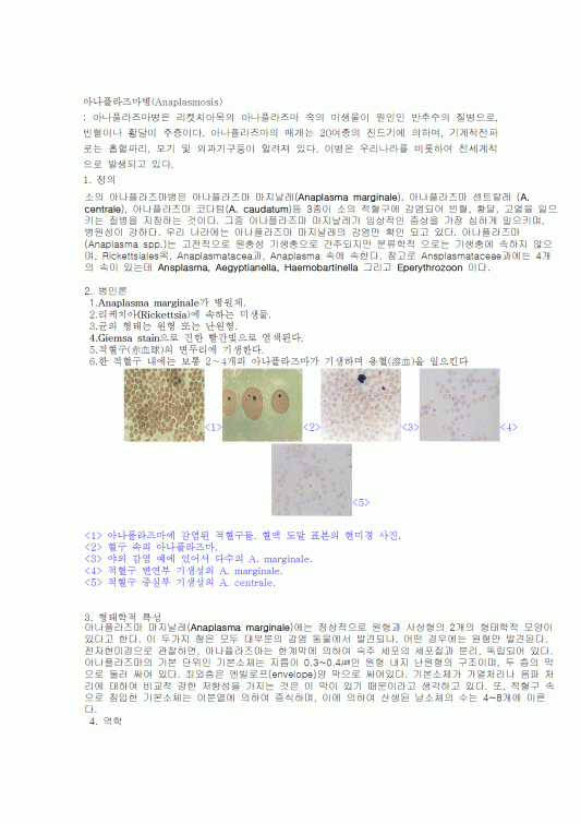 아나플라즈마병(Anaplasmosis)