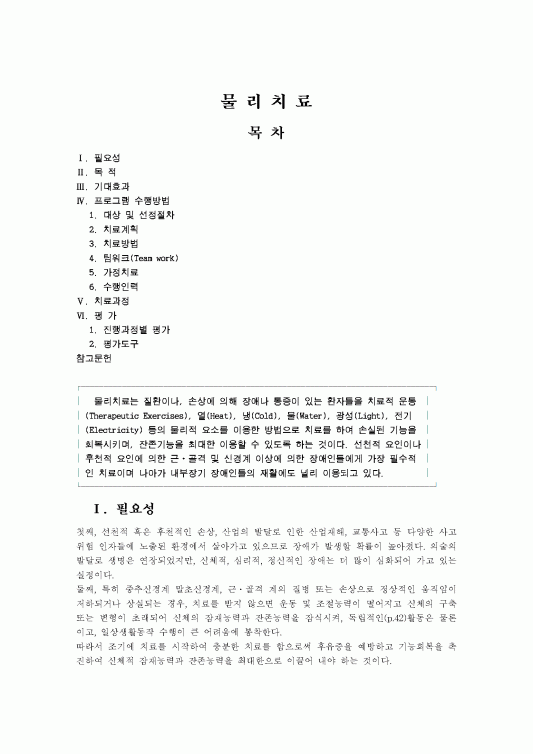 물리치료 프로그램에 관한 고찰