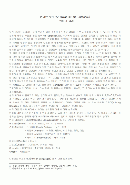 언어의 갈래 레포트 자료