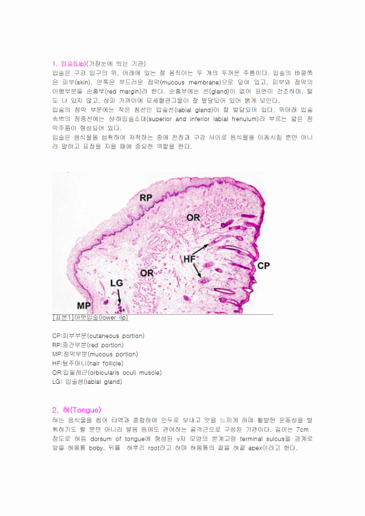 언어진단검사
