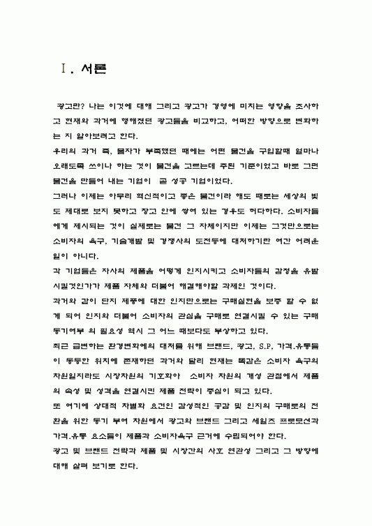 광고전략의 성공사례 및 문제점