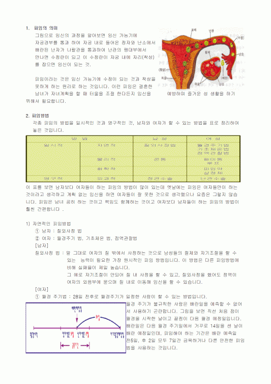 피임에 관한 정리 자료