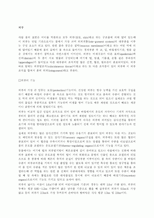 피부에 관한 개괄적 분석