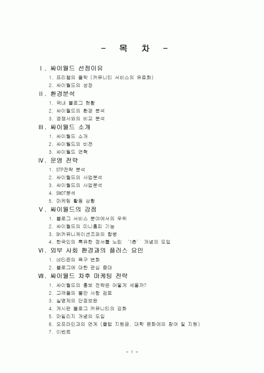 싸이월드 마케팅과 미래전략