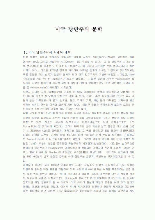 미국 낭만주의 문학