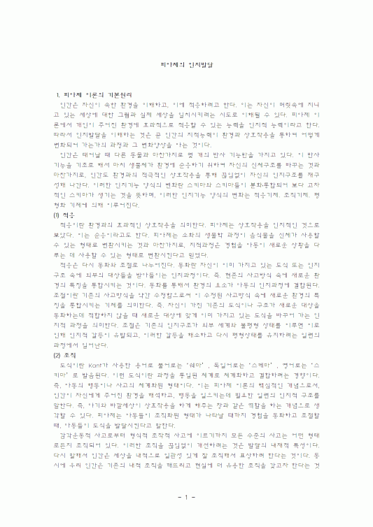 [사범/법학] 피아제의 인지발달