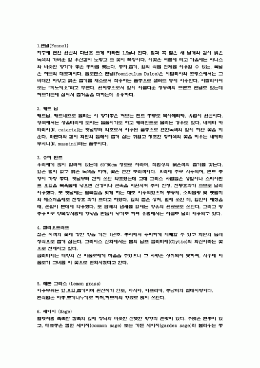 허브의종류 레포트 자료