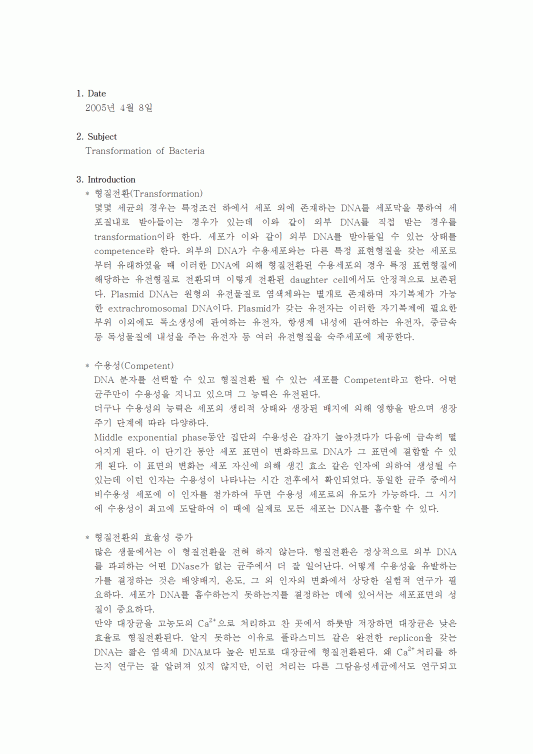 Transformation (형질전환)