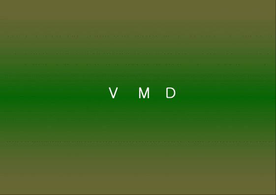 디스플레이(VMD)