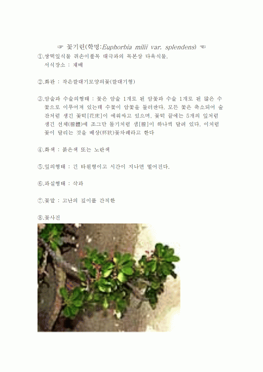 식물도감조사
