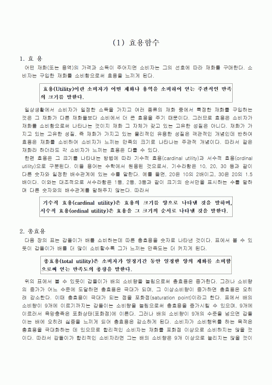 효용함수의 개념