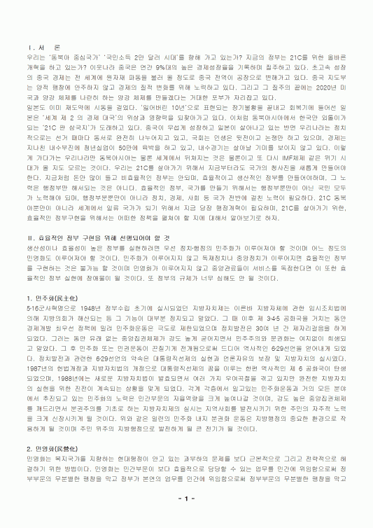 21C 효율적인 정부 구현을 위한 개혁방안