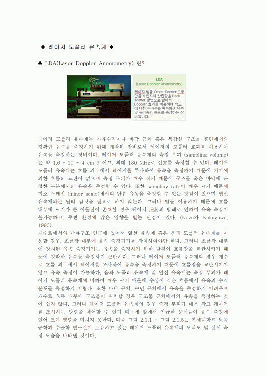 레이저 도플러 유속계