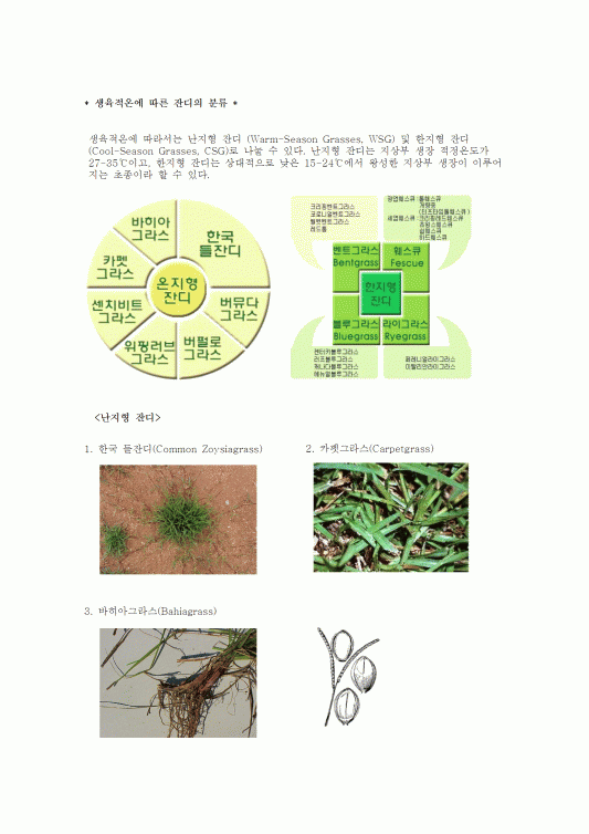 생육적온에 따른 잔디의 분류와 사진