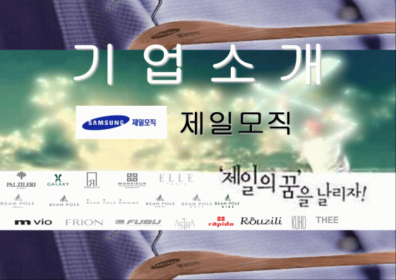 기업설명(제일모직)