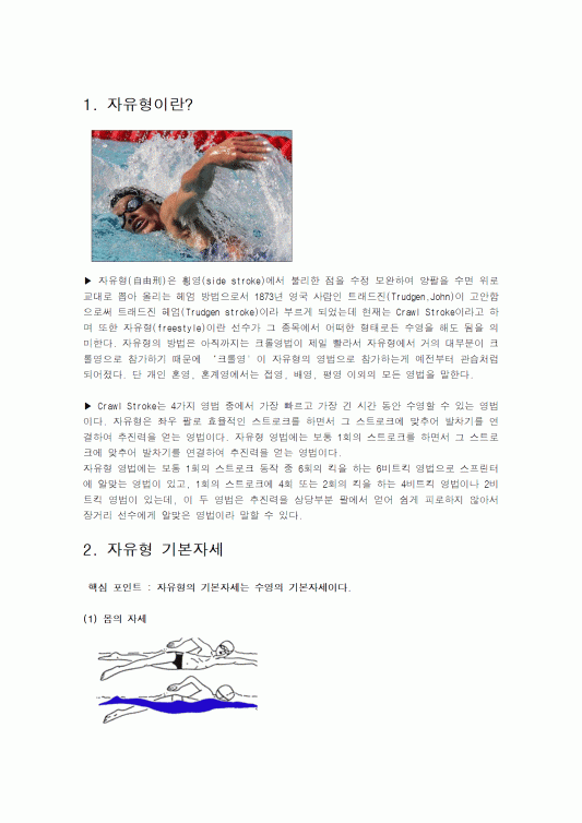 수영(자유형) 레포트 자료