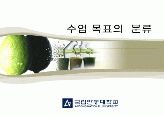 수업 목표의 분류