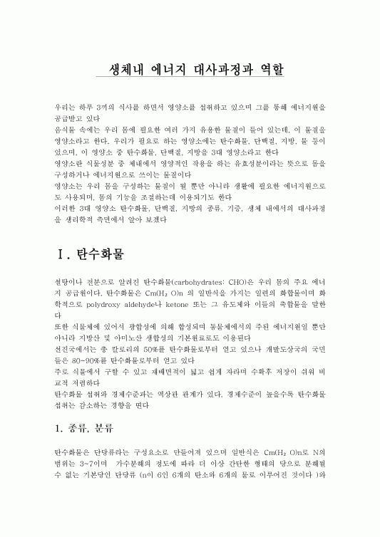 생체내 에너지 대사과정과 역할