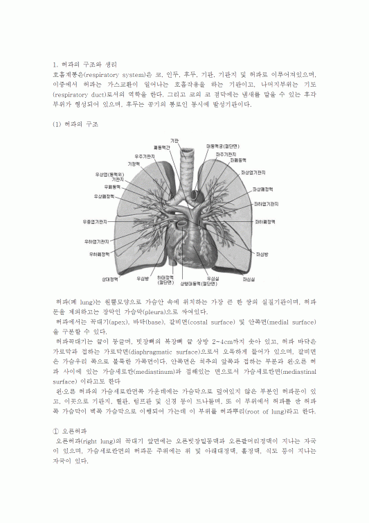 만성폐쇄성폐질환 케이스