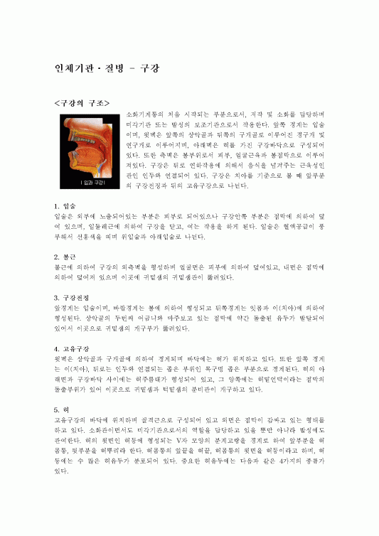 인체기관과 그에대한 질병