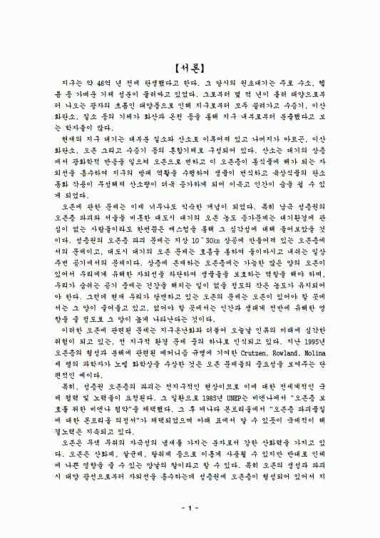 오존층파괴의 현황과 대책