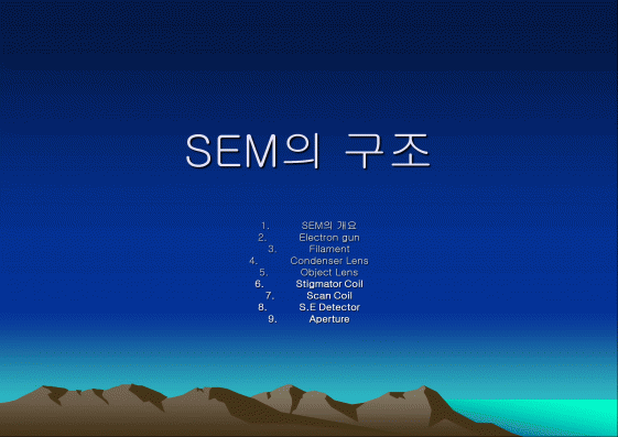주사전자현미경