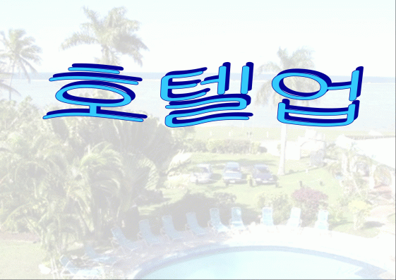 호텔업분석 레포트 자료