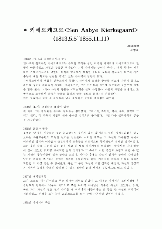 키에르케고르 발표수업