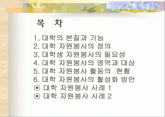 [사회과학] 대학 자원봉사