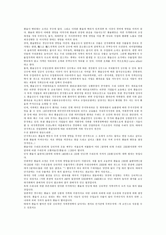 환율변동이 미치는 영향