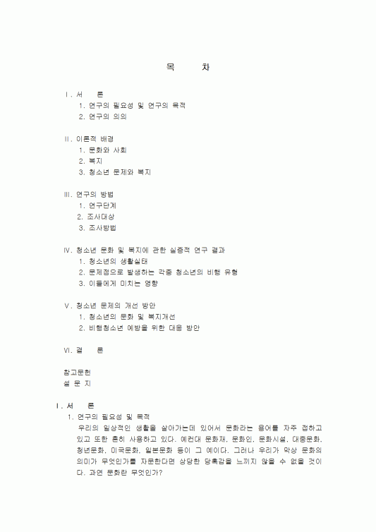 청소년 문화와 복지상의 문제점 및 개선방안