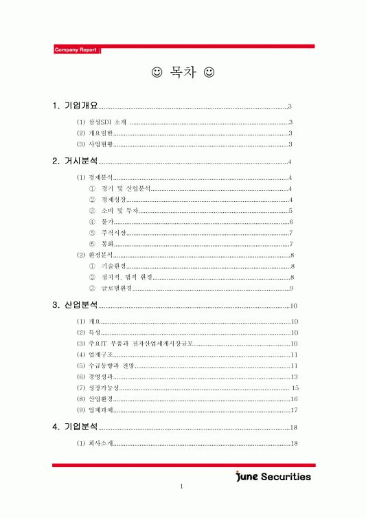 삼성 SDI 재무제표 분석(LG 필립스와 비교)