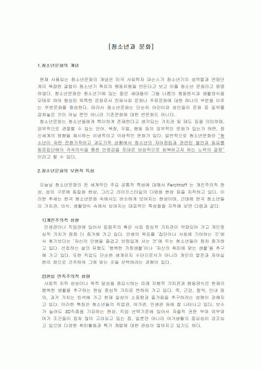청소년과 문화