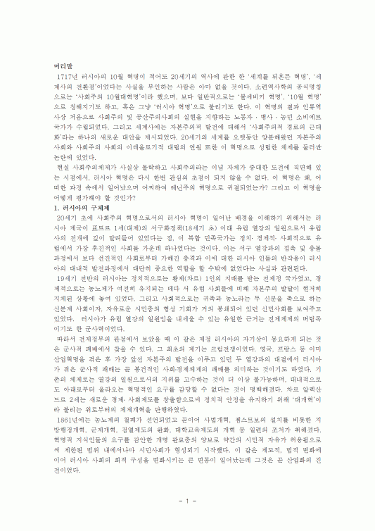 서양- 러시아 혁명
