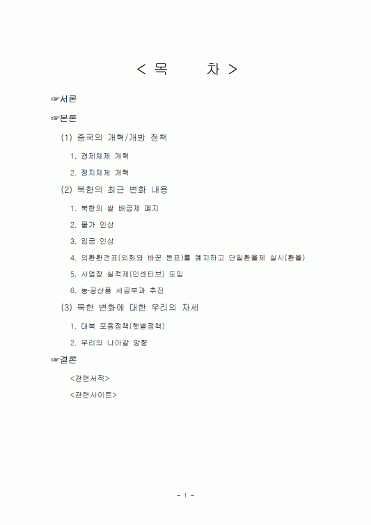 북한중국 개발정책