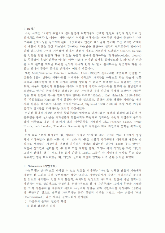 19세기의 영미 문학 , 작가들