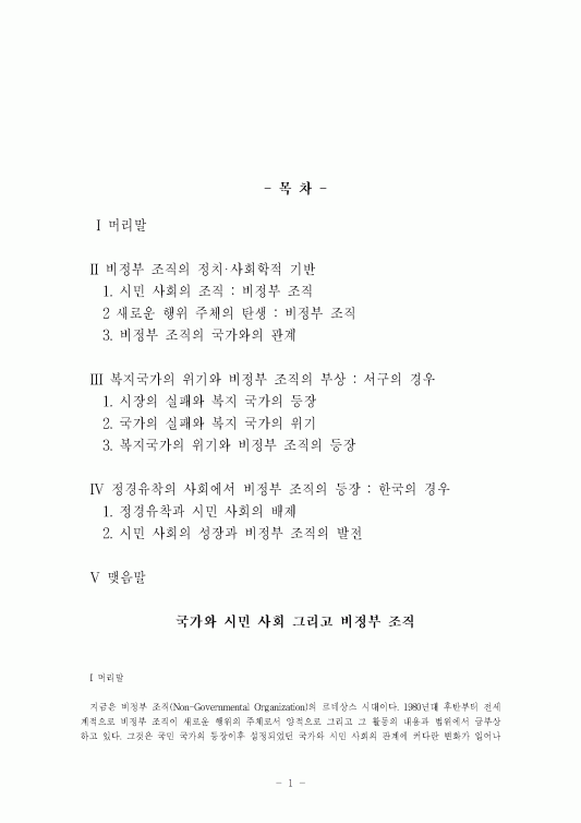 국가와 시민 사회 그리고 비정부 조직
