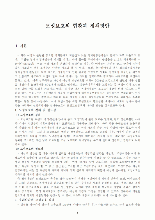 모성보호의 현황과 정책방안